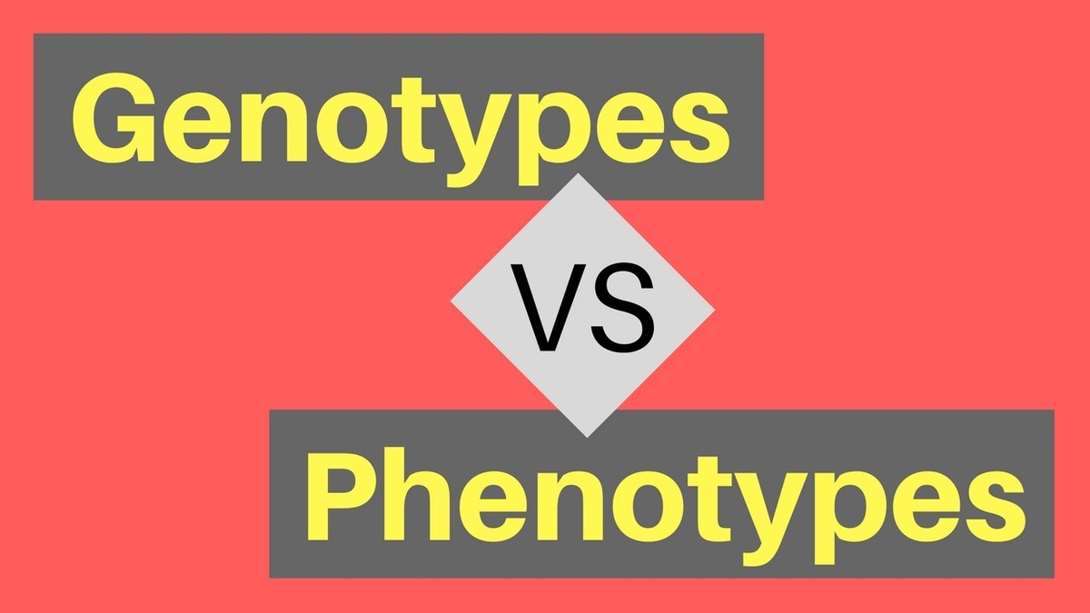 article_image_genotypes-and-phenotypes